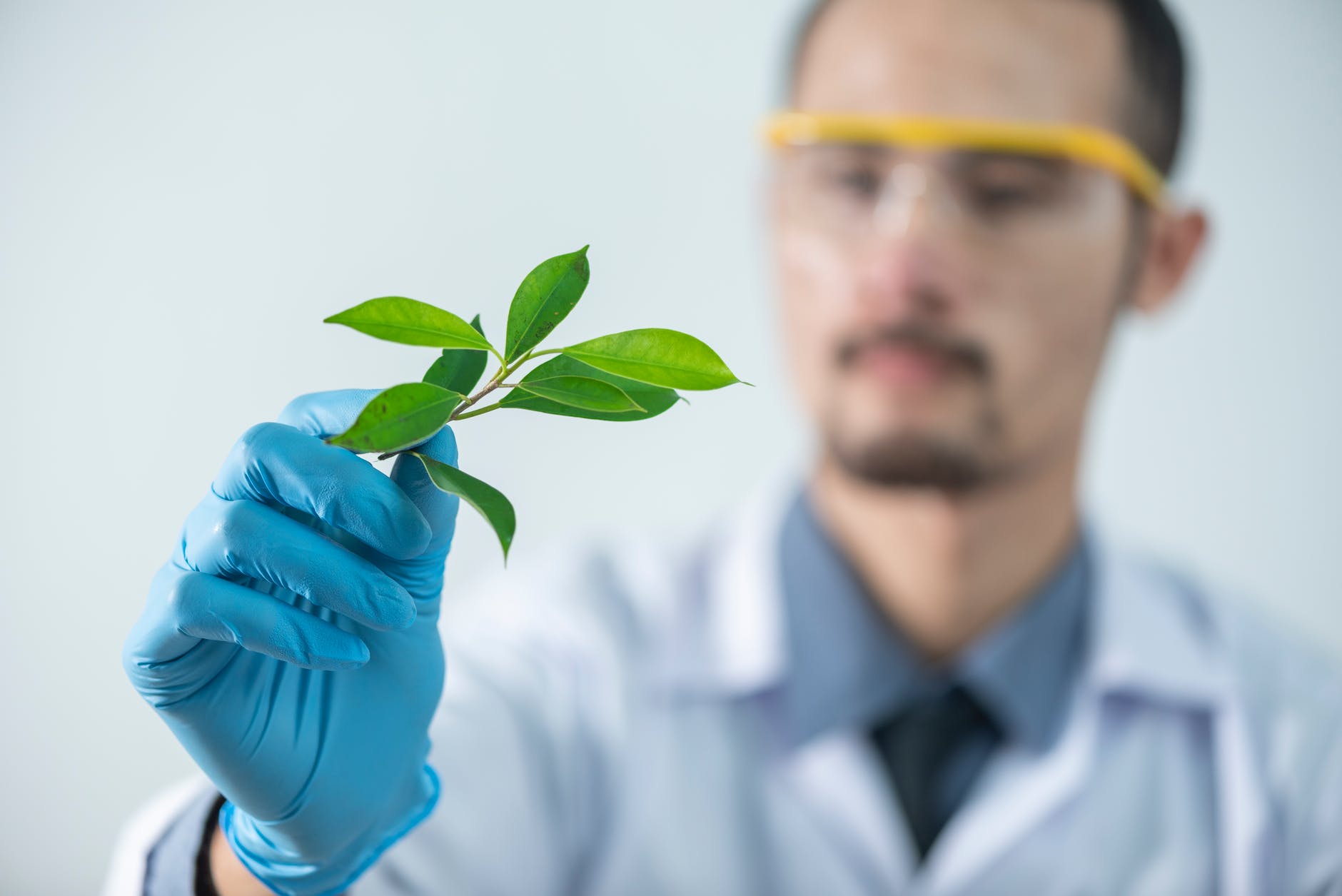 No more plants, no more antibiotics – Learning, Science and Society