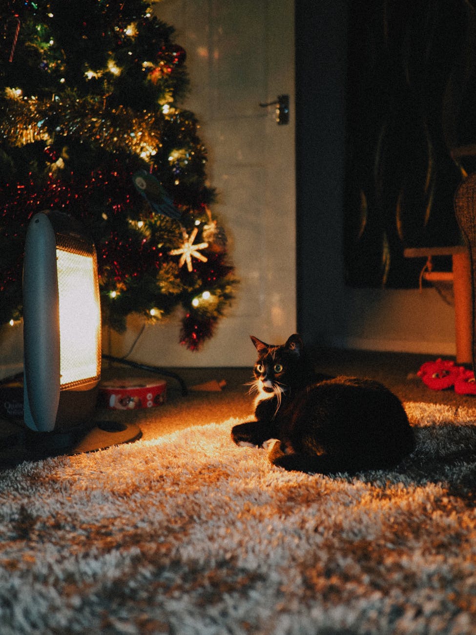 Christmas Eve Punch: saving time for the desperate Hostess – Learning ...